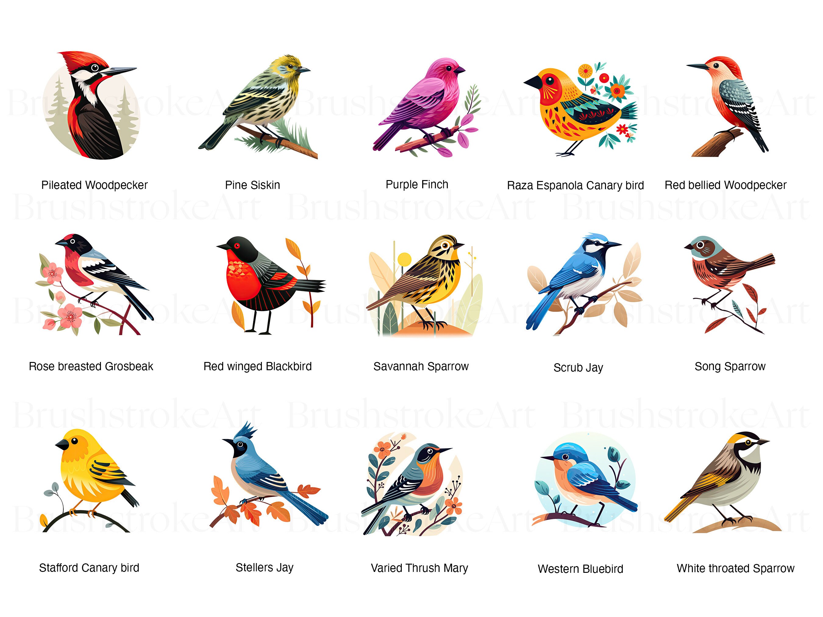 53 Watercolor Bird Clipart, Bird Illustrations, Woodpecker, Robin ...