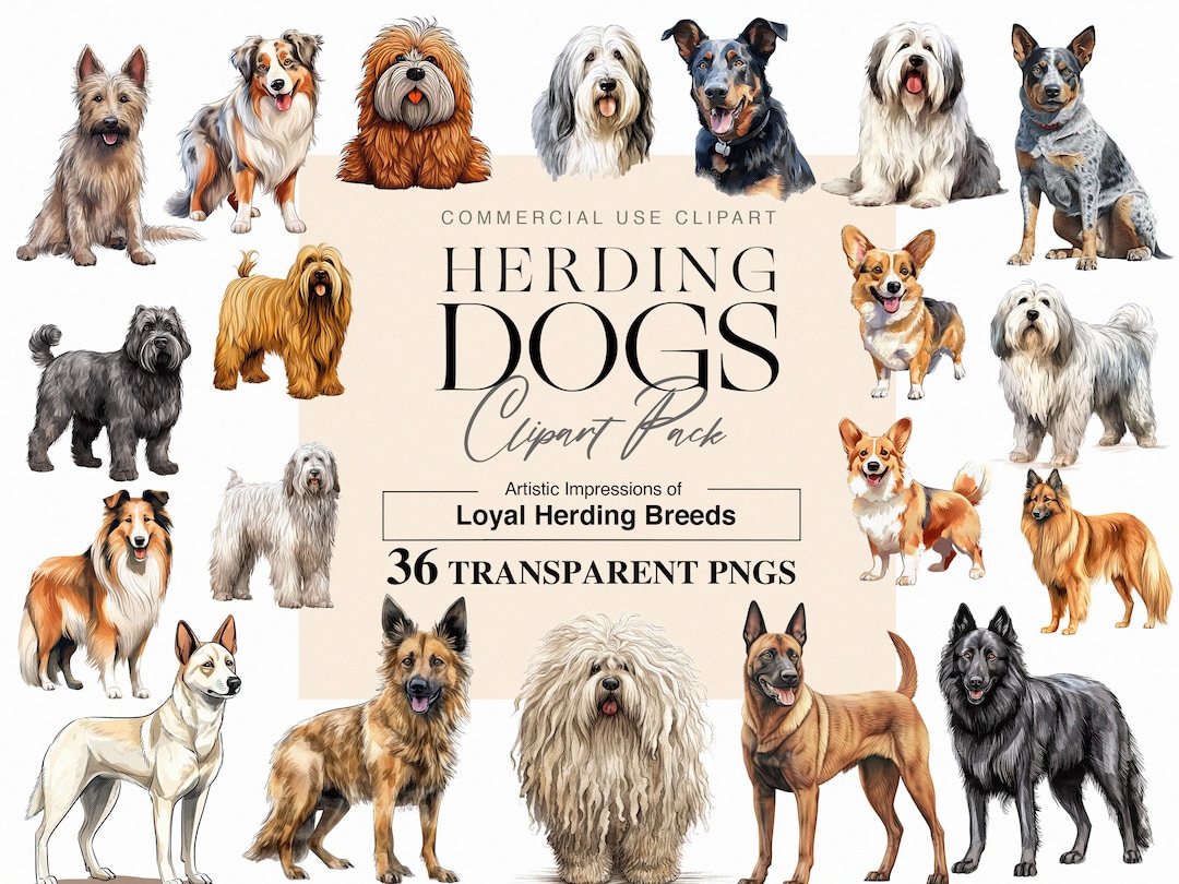 Watercolour Herding Dogs Clipart - High-quality Digital Dog Breed Illustrations for Design ...