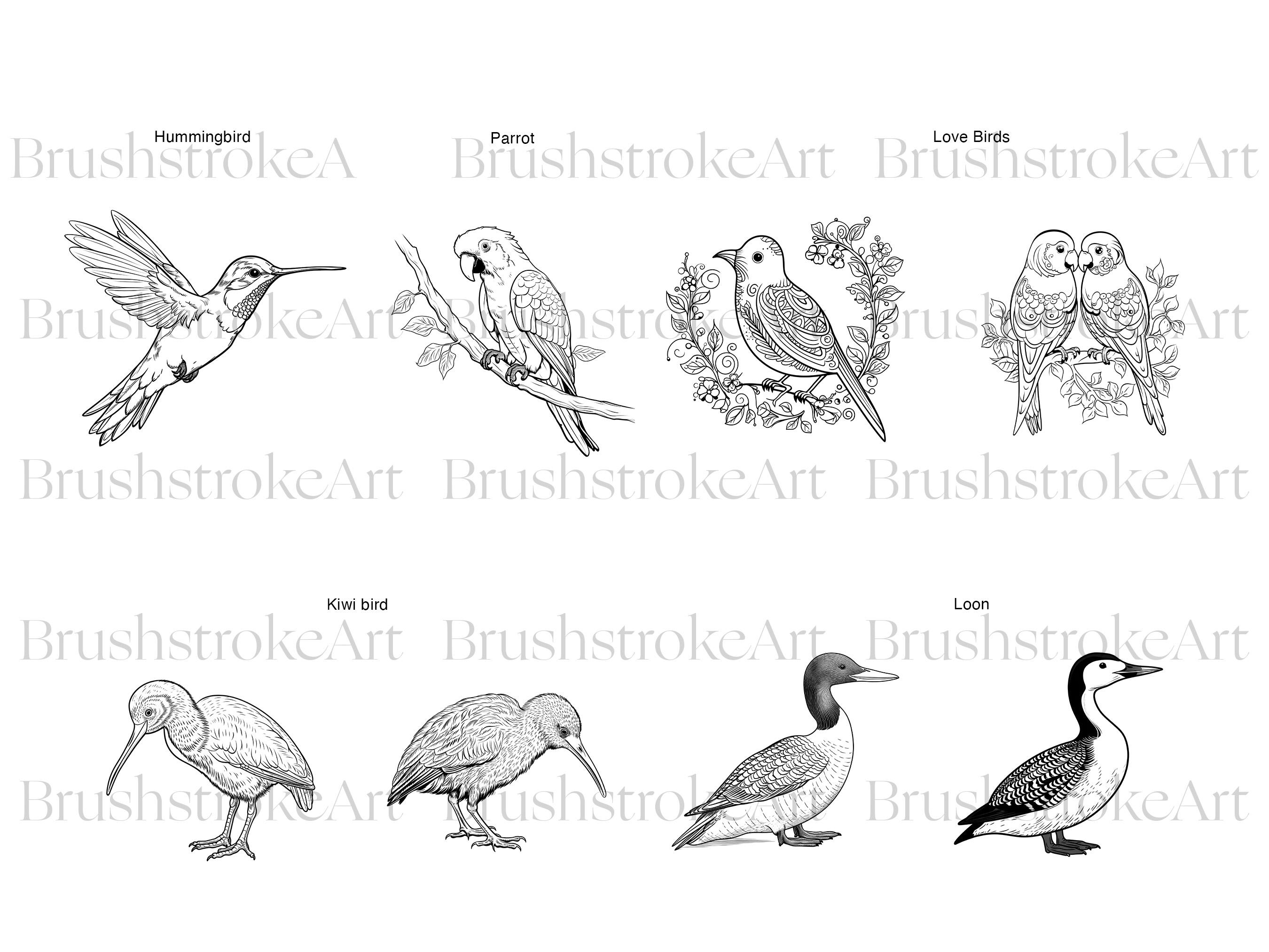 Bird Line Art, Eagle, Sparrow, Flying Bird PNG, Owl Clipart, Bird on ...