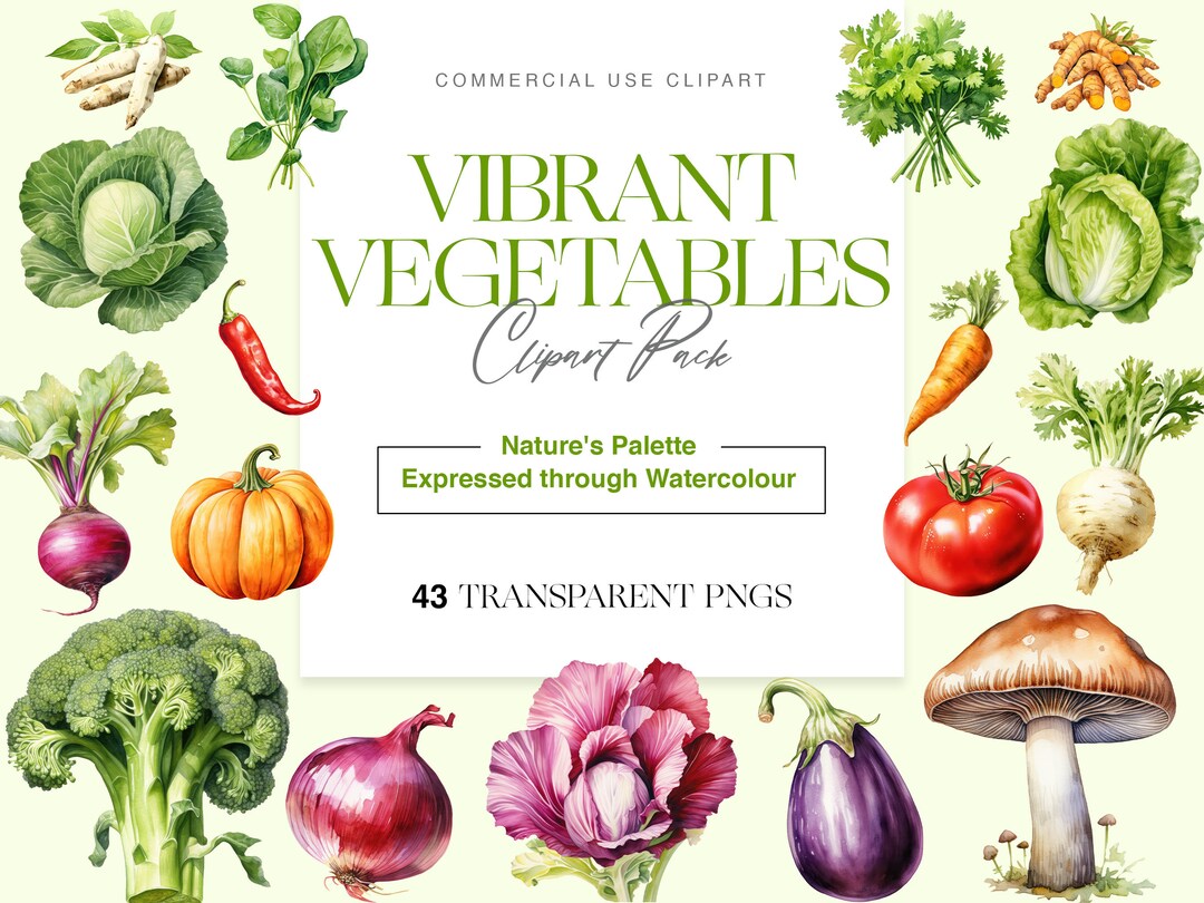 Watercolor Vegetables Clipart, Tomato, Onion, Broccoli, Carrot ...