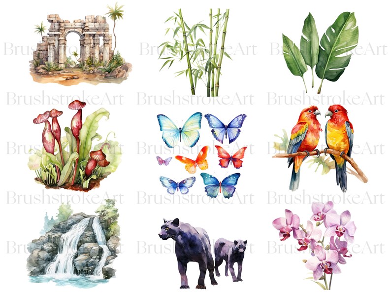 Watercolor Tropical Rainforest Clipart, Tropical Animals, Birds, Parrot ...