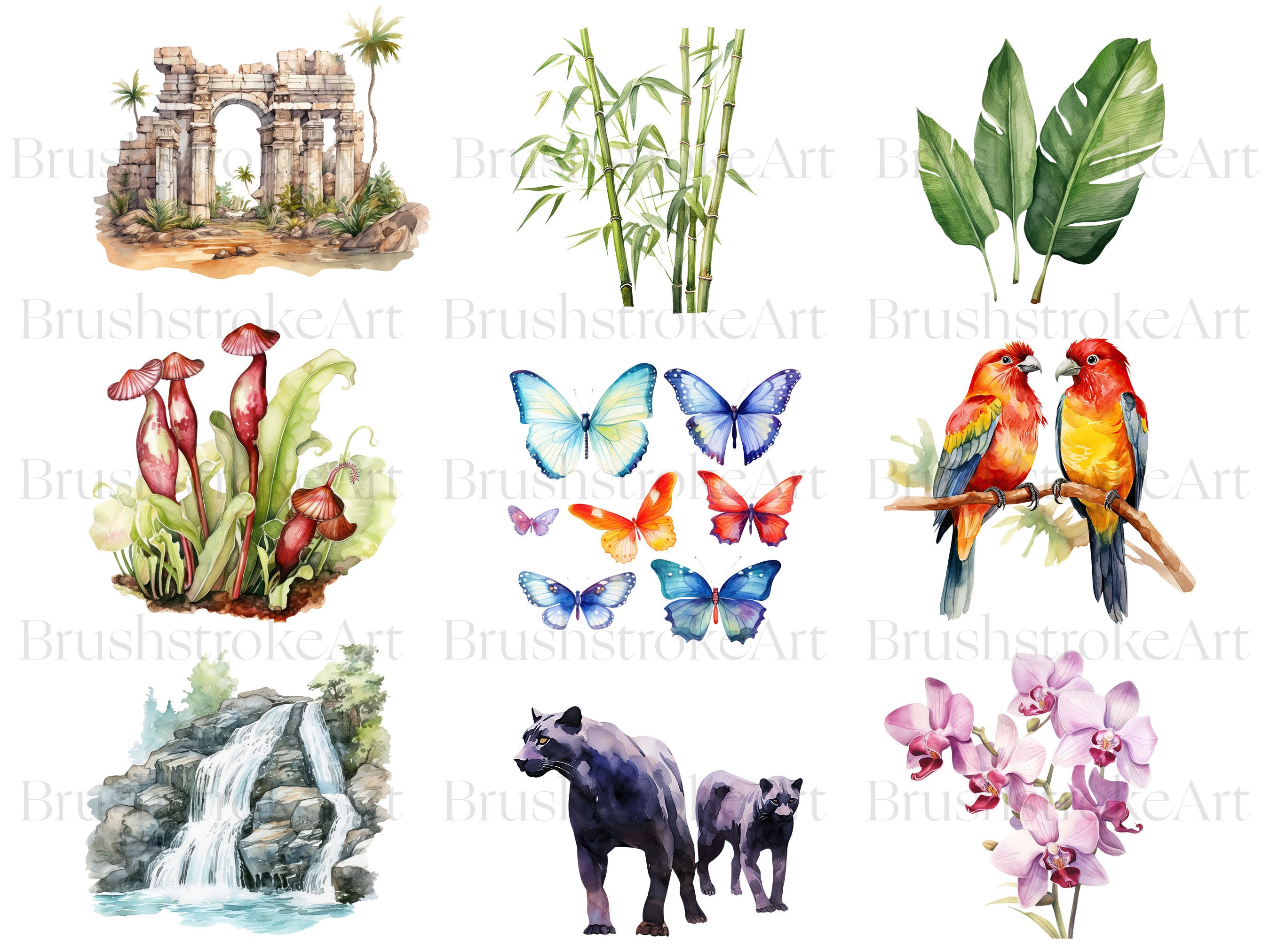 Watercolor Tropical Rainforest Clipart, Tropical Animals, Birds, Parrot ...
