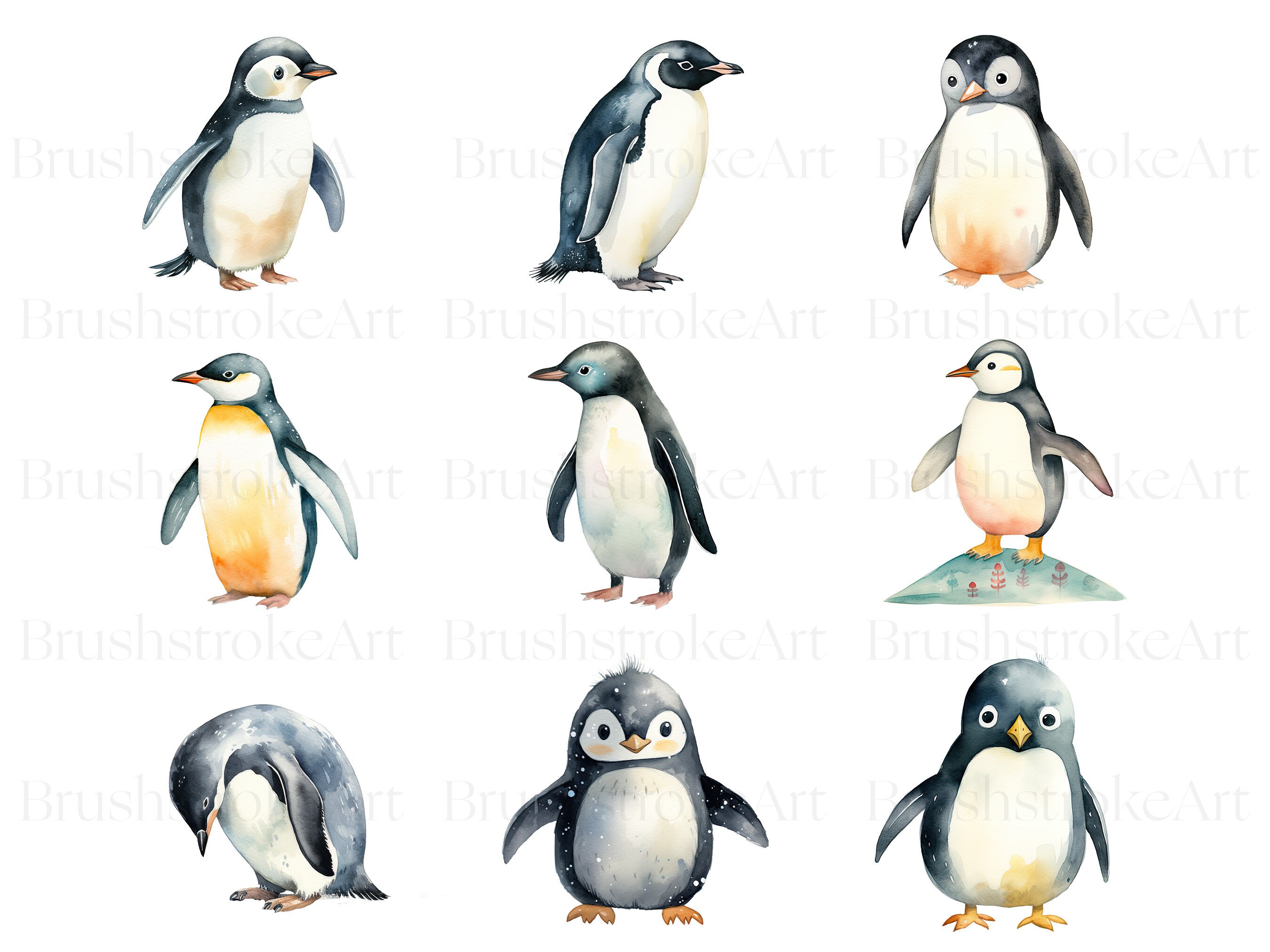 Watercolor Penguin Clipart, Baby Penguin PNG, Chinstrap, Emperor ...