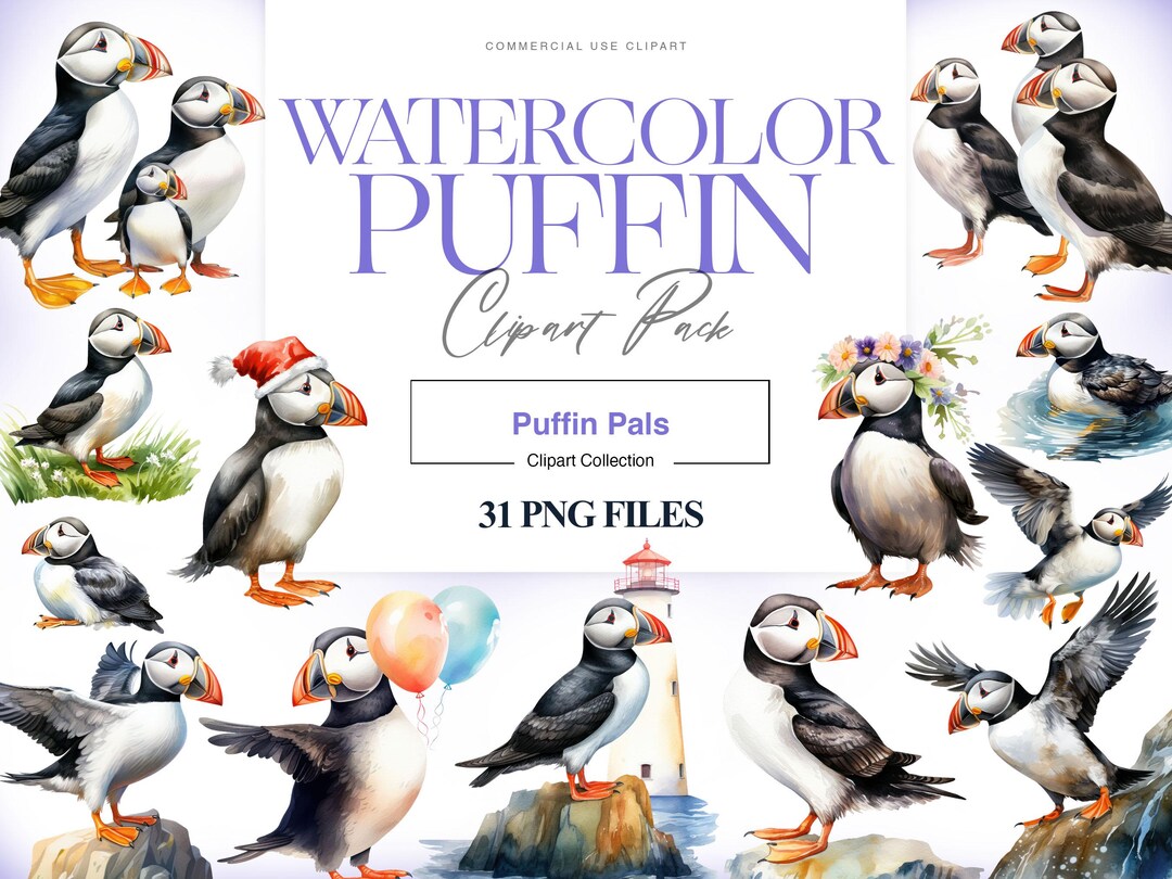 Watercolor Puffin Clipart, Atlantic Puffin, Winter Bird Puffin PNG ...
