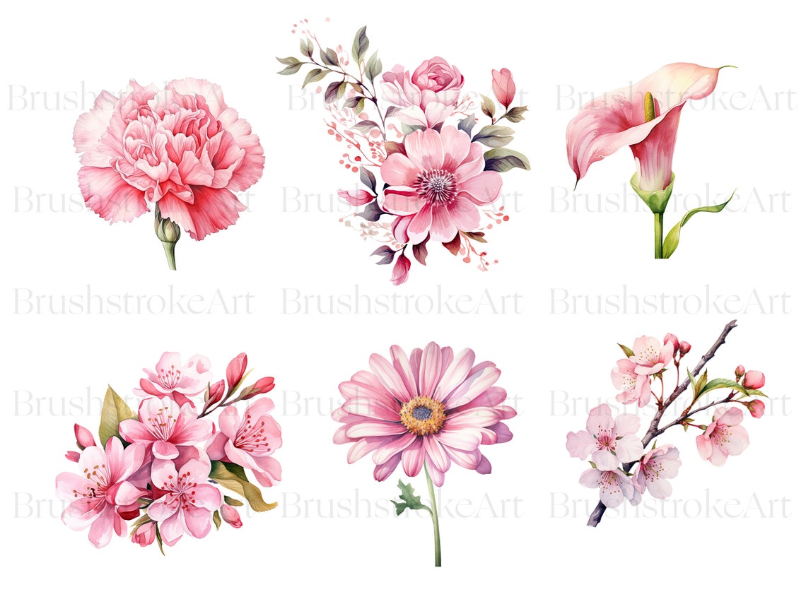Pink Flower Clipart Pack: Watercolor Floral PNG Images for - Etsy