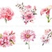Pink Flower Clipart Pack: Watercolor Floral PNG Images for - Etsy