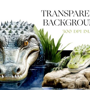 Watercolor Crocodile Clipart, Reptile, Underwater Animal PNG, Alligator ...