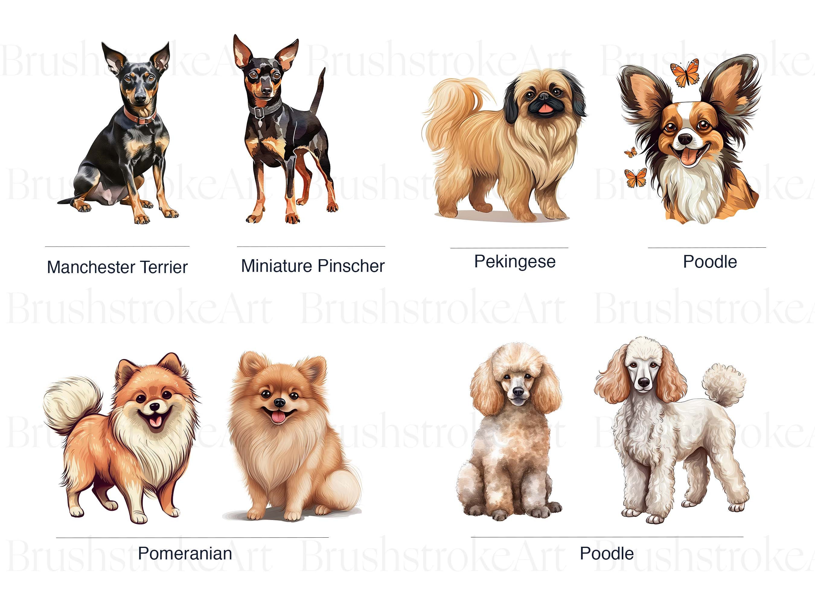 Watercolour Toy Group Dogs Clipart Cute Toy Breeds Images Collection ...