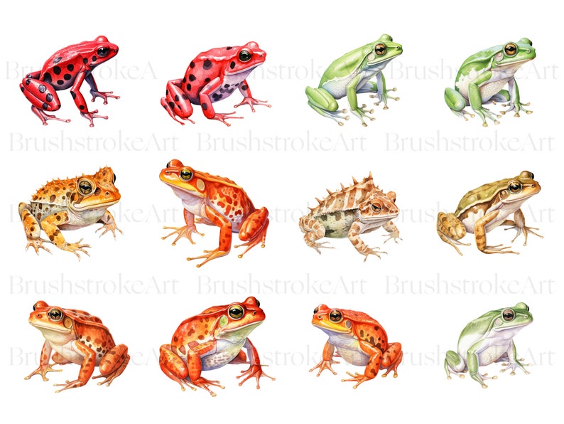 Watercolor Frog Clipart, Cute Tree Frog, Cane Toad, Leopard Frog ...