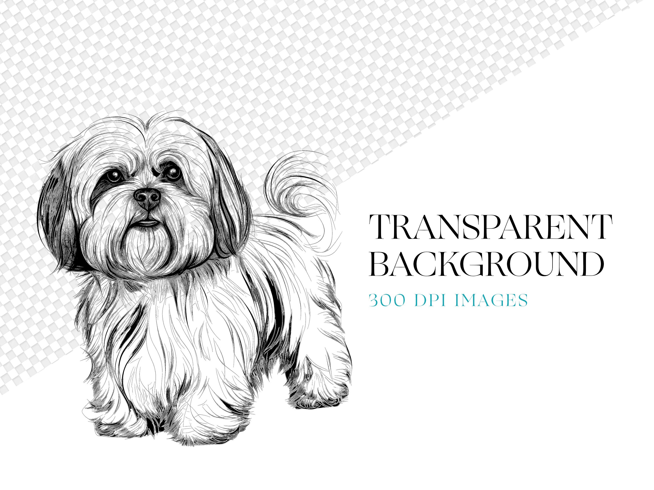Dog Doodle Clipart, Cute Dogs, Puppy, Dog Breeds, Illustrations ...