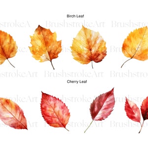Fall Leaves Clipart, Watercolor Fall Clipart, Autumn Leaf, Maple Leaves ...