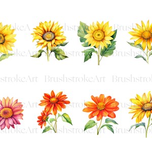 Watercolor Sunflower Clipart, Yellow Sunflower, Fall Flower Clipart ...