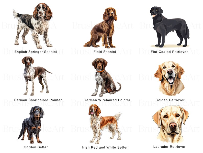 Vibrant Sporting Dogs Watercolour Clipart High-quality Digital ...