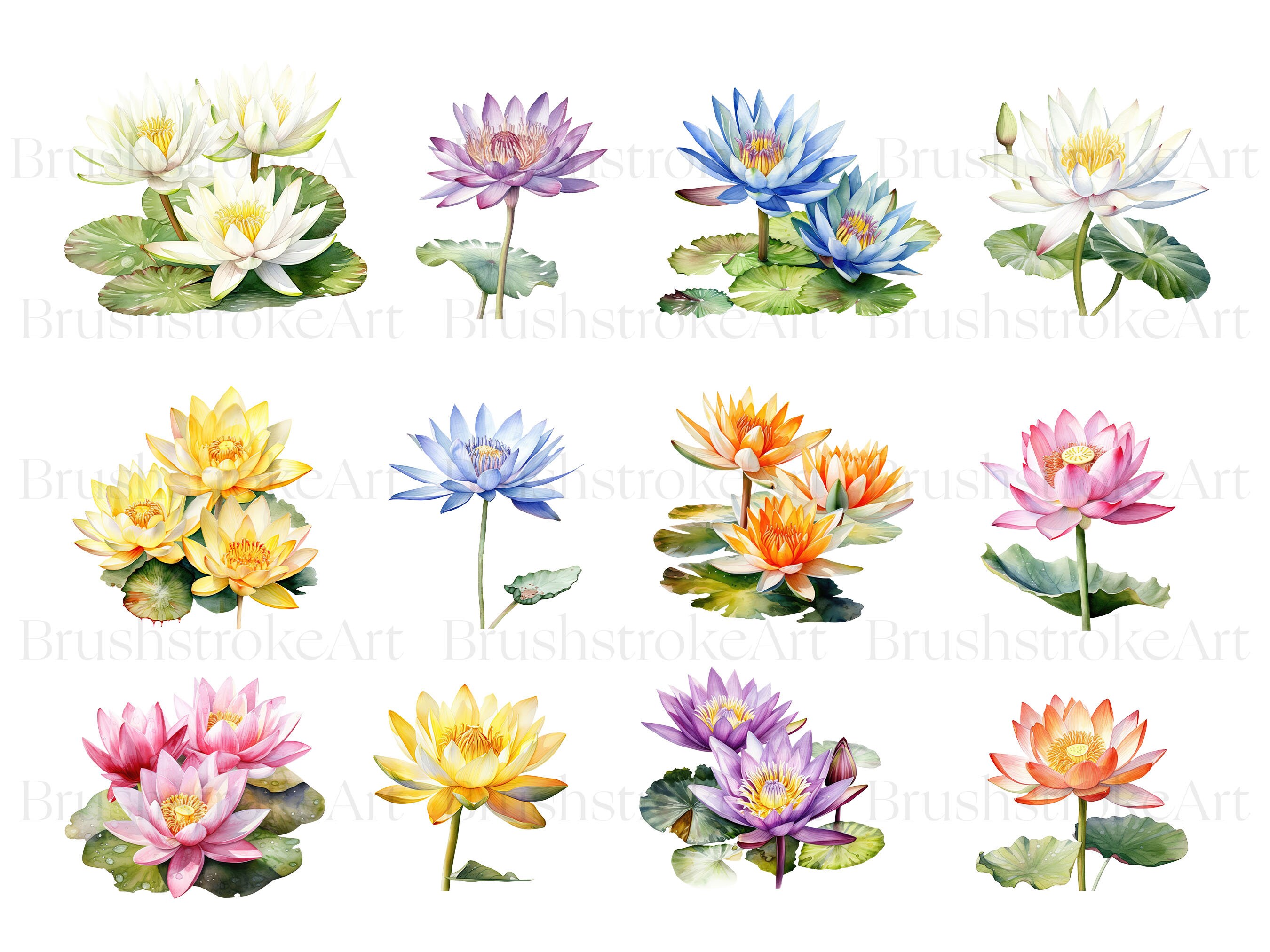 Watercolor Water Lily Clipart Birth Month Flower Lily Pad - Etsy