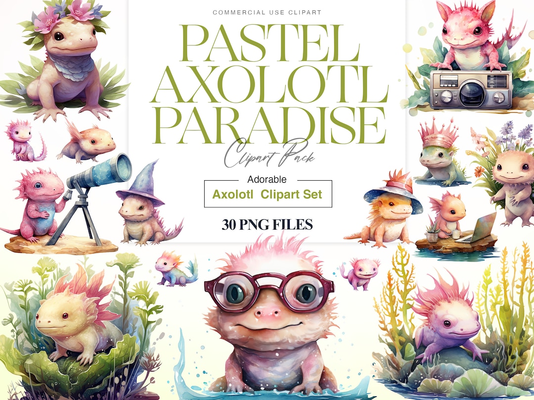 Watercolor Axolotl Clipart, Pink Axolotl, Endangered Animal, Kawaii ...