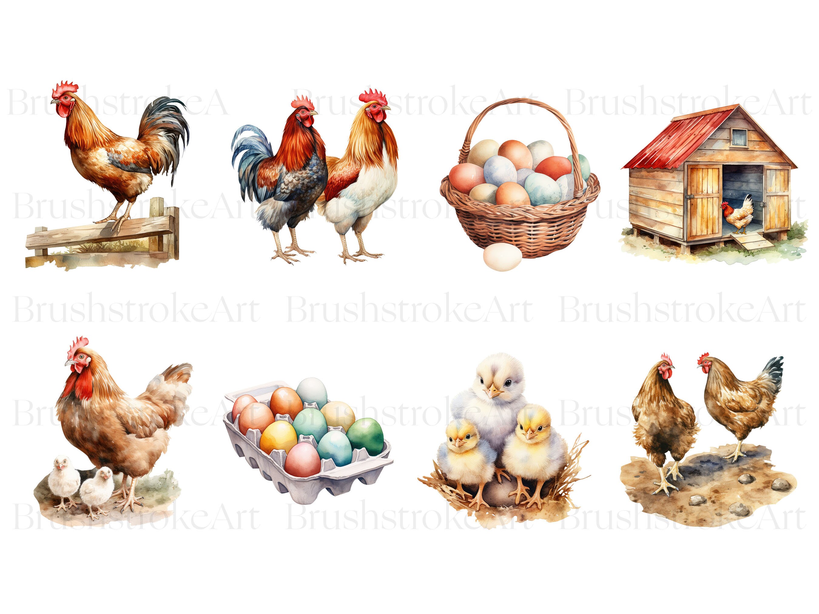 Watercolor Hen Clipart, Watercolor Chicken PNG, Baby Chick, Mothers Day ...