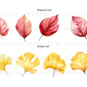Fall Leaves Clipart, Watercolor Fall Clipart, Autumn Leaf, Maple Leaves ...