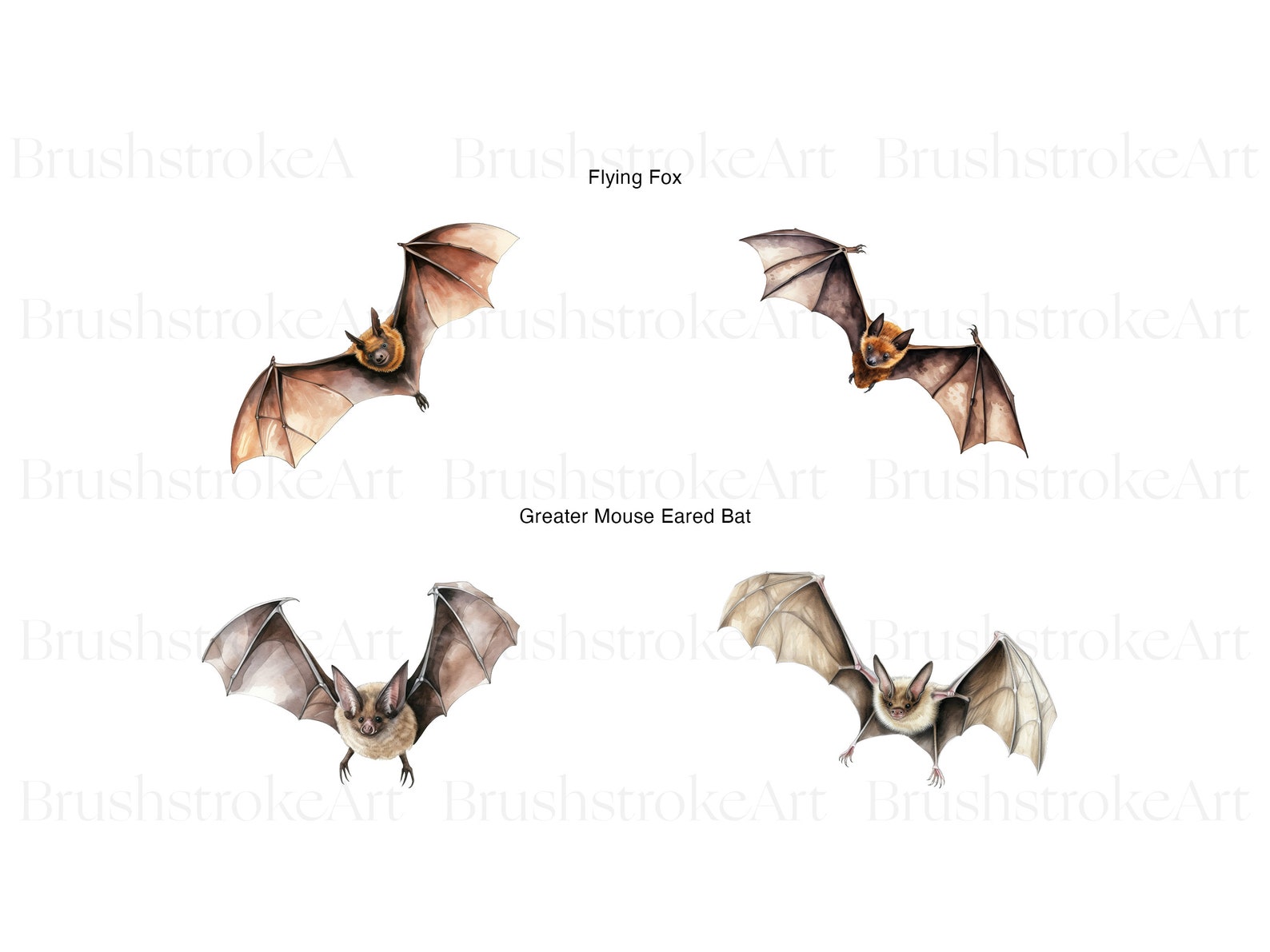 Watercolor Bat Clipart, Cute Bat PNG, Bat Illustrations, Cute Halloween ...