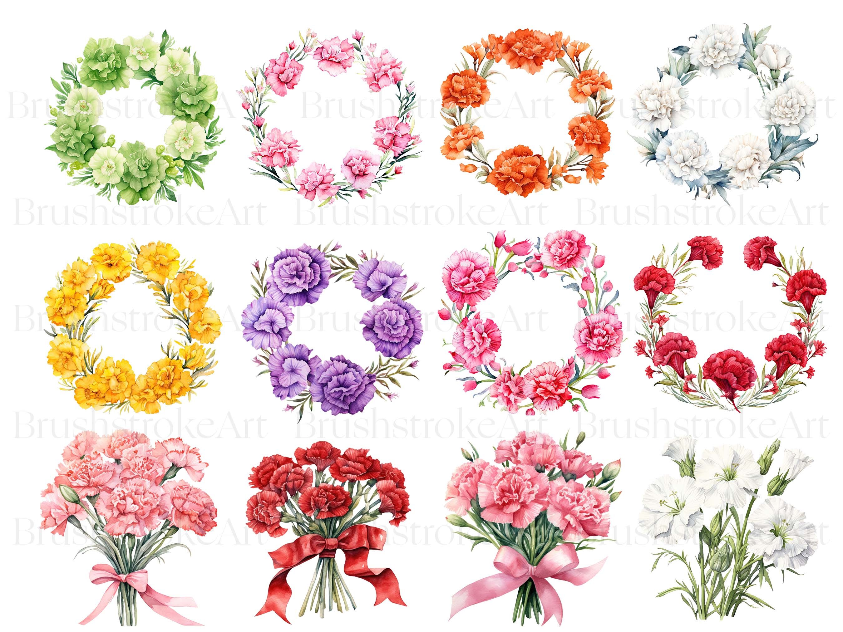 Birthmonth Flower Carnation Clipart, Watercolor Wreath, Bouquet ...