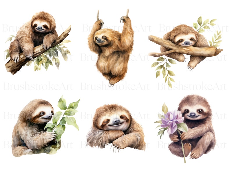 Watercolor Sloth Clipart, Cute Hanging Sloth PNG, Sleeping Sloth T ...