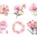 Pink Flower Clipart Pack: Watercolor Floral PNG Images for - Etsy