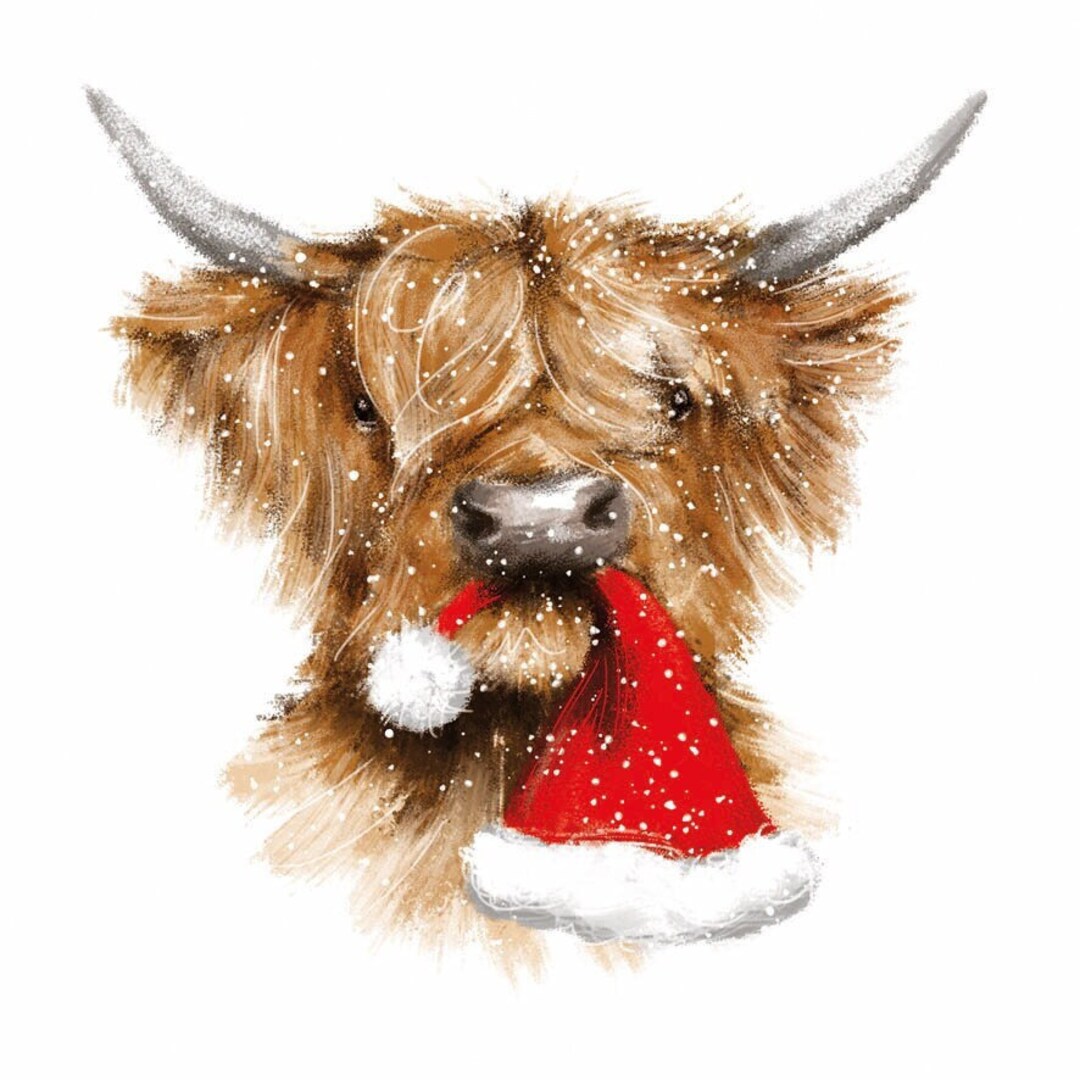 Scottish Christmas Cards A Christmas Coo Christmas Cards - Etsy