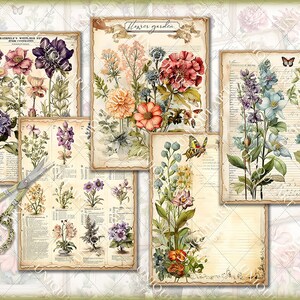 Medicinal Herbs and Flowers, Printable 30 HQ JPG Image, Junk Journal ...
