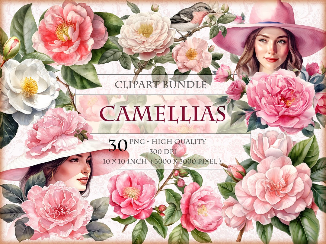 Camellias Camellia Flower Themed Watercolor Clipart Bundle, HQ ...