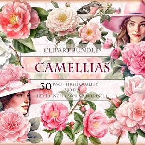 Camellias Camellia Flower Themed Watercolor Clipart Bundle, HQ ...