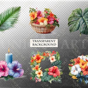 Hibiscus, Tropical Flowers, Watercolor Clipart Bundle, 34 HQ Printable ...