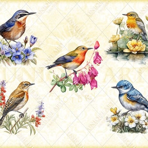 Tiny Birds and Flowers, Little Cute Birds, Watercolor Clipart Bundle ...