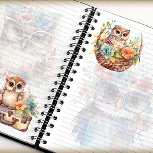 Cute Owls, Watercolor Clipart Bundle, Junk Journal, Scrapbook ...