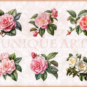 Camellias Camellia Flower Themed Watercolor Clipart Bundle, HQ ...