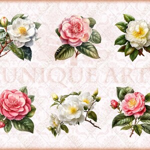 Camellias - Camellia Flower Themed Watercolor Clipart Bundle, 30 HQ ...