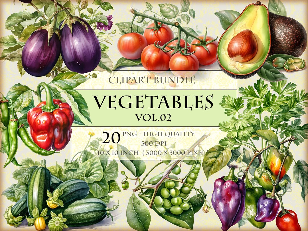 Vegetables Vol.02 Watercolor Clipart Bundle HQ Printable - Etsy