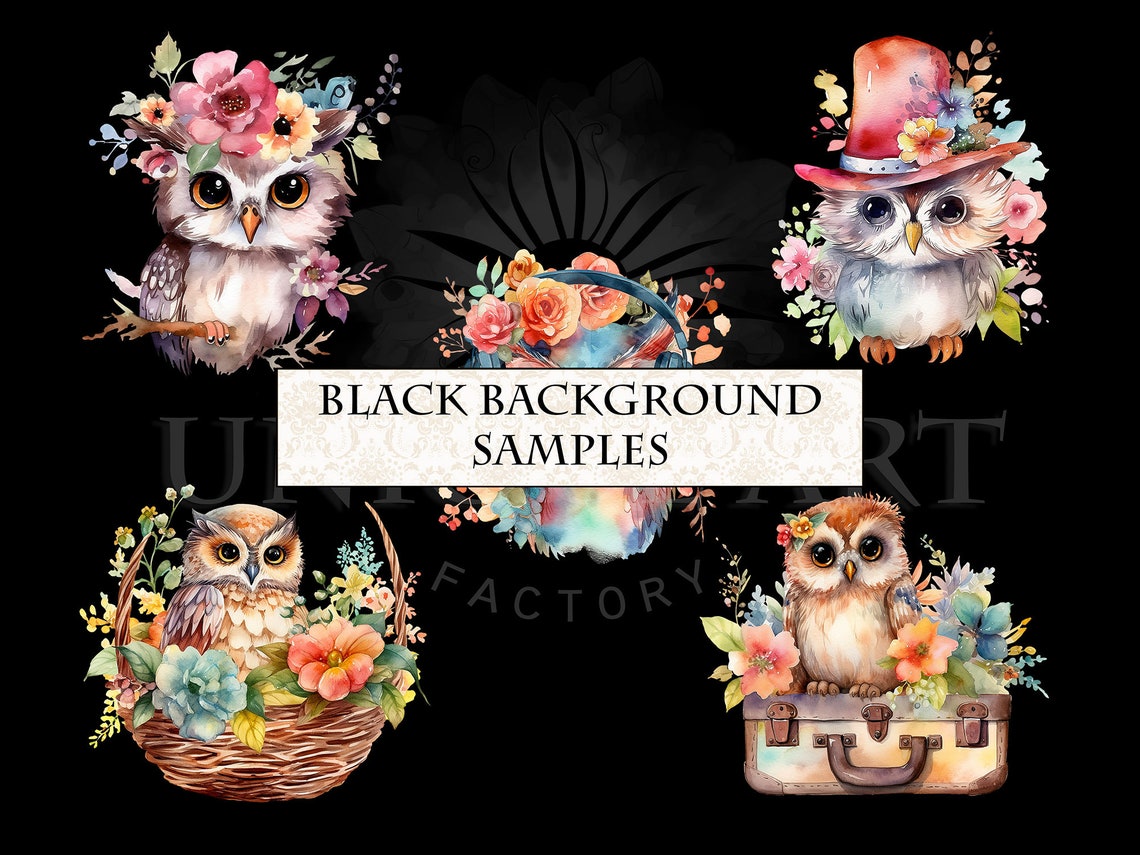 Cute Owls Watercolor Clipart Bundle HQ Printable PNG - Etsy