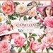 Camellias Camellia Flower Themed Watercolor Clipart Bundle, HQ ...