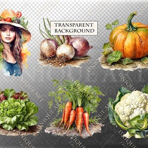 Vegetables Vol.01 Watercolor Clipart Bundle HQ Printable PNG and JPEG ...