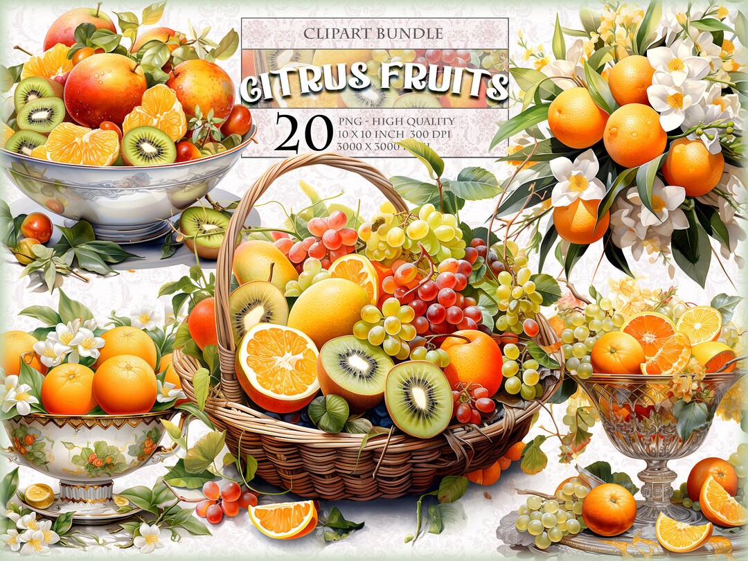 Citrus Fruits, Watercolor Clipart Bundle, 20 HQ Printable Image ...