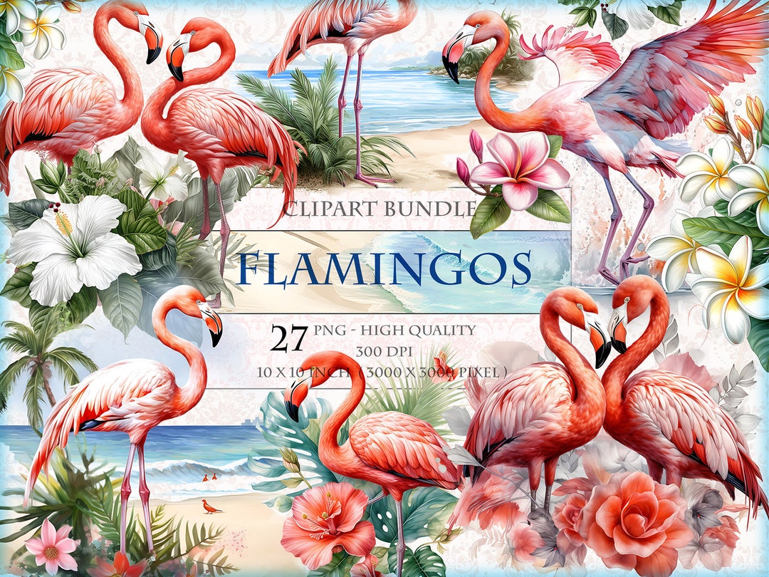 Flamingos Flamingo Birds Themed Watercolor Clipart Bundle HQ Printable ...