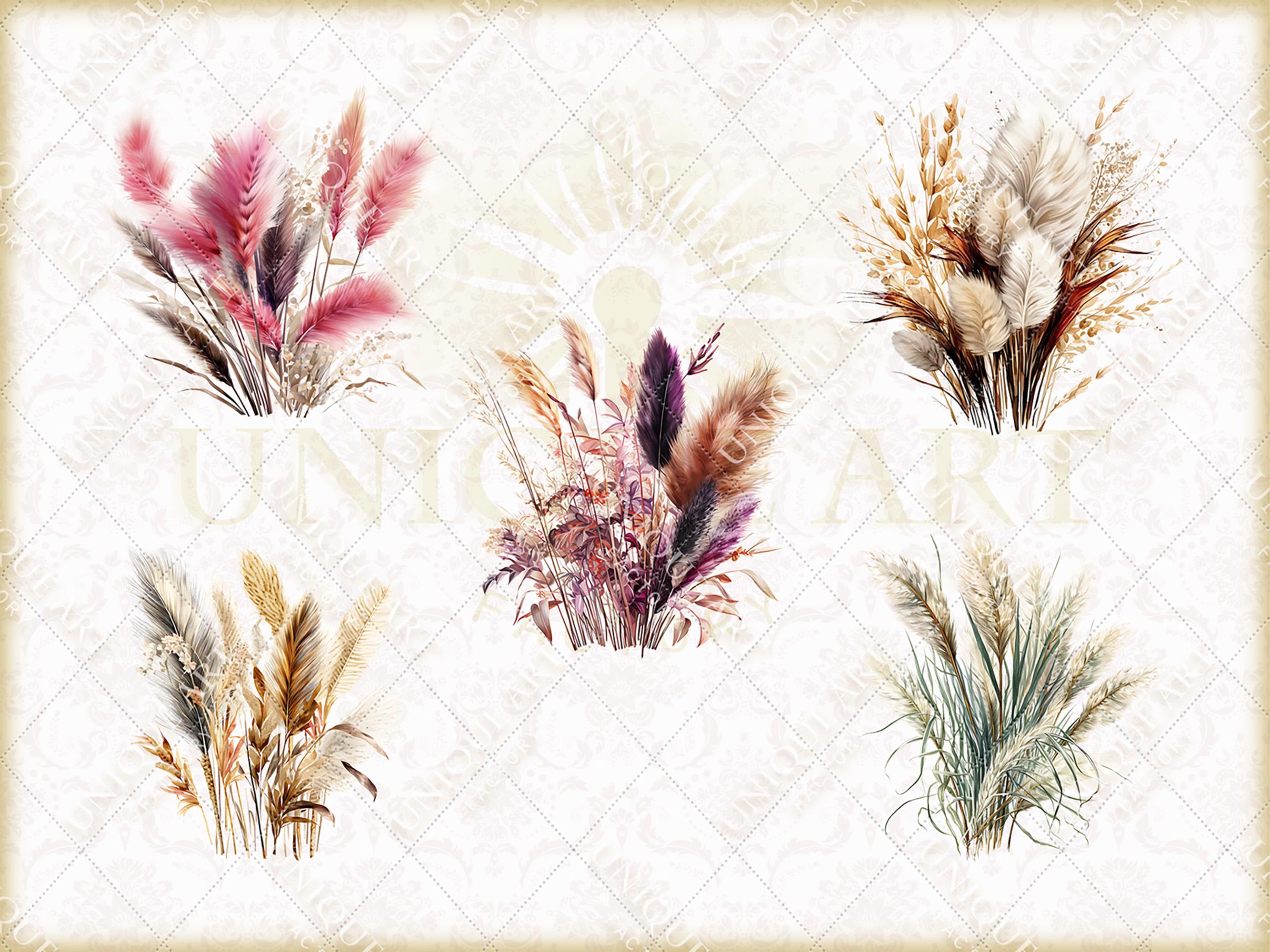 Pampas Grass, Boho Floral Elements, Watercolor Clipart Bundle, 22 HQ ...