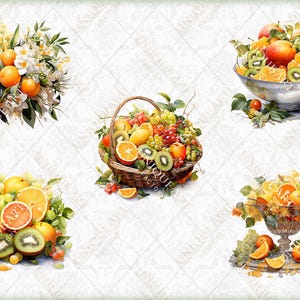 Citrus Fruits, Watercolor Clipart Bundle, 20 HQ Printable Image ...