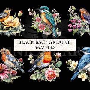 Tiny Birds and Flowers / Little Cute Birds Watercolor Clipart Bundle HQ ...