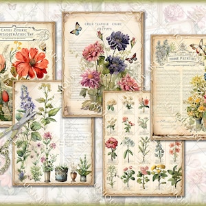 Medicinal Herbs and Flowers, Printable 30 HQ JPG Image, Junk Journal ...
