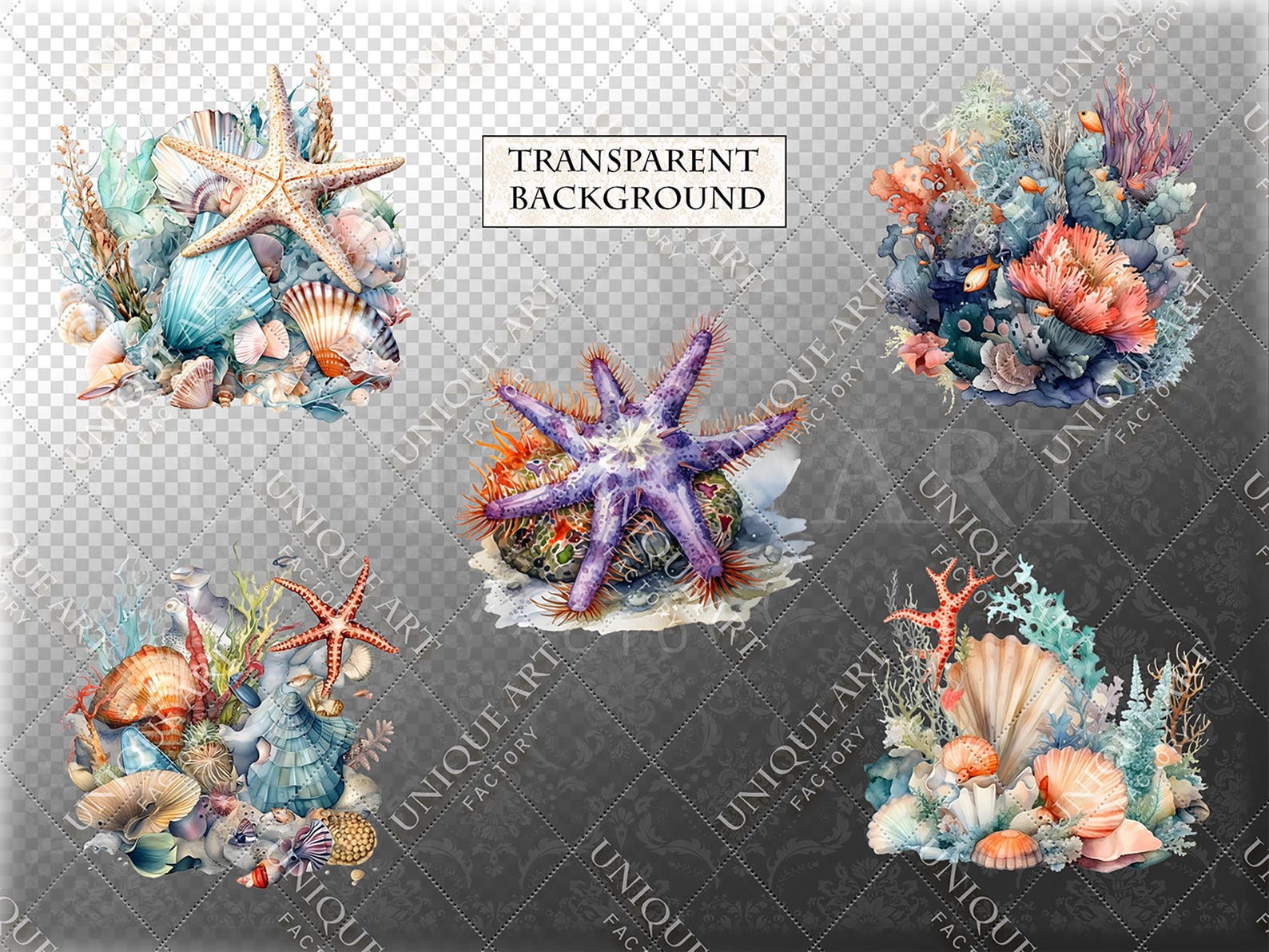 Corals and Seashells, Underwater Themed Watercolor Clipart Bundle ...