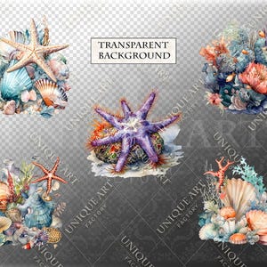 Corals and Seashells, Underwater Themed Watercolor Clipart Bundle ...