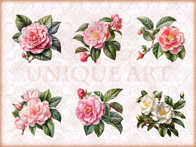 Camellias - Camellia Flower Themed Watercolor Clipart Bundle, 30 HQ ...