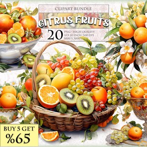 Citrus Fruits, Watercolor Clipart Bundle, 20 HQ Printable Image ...