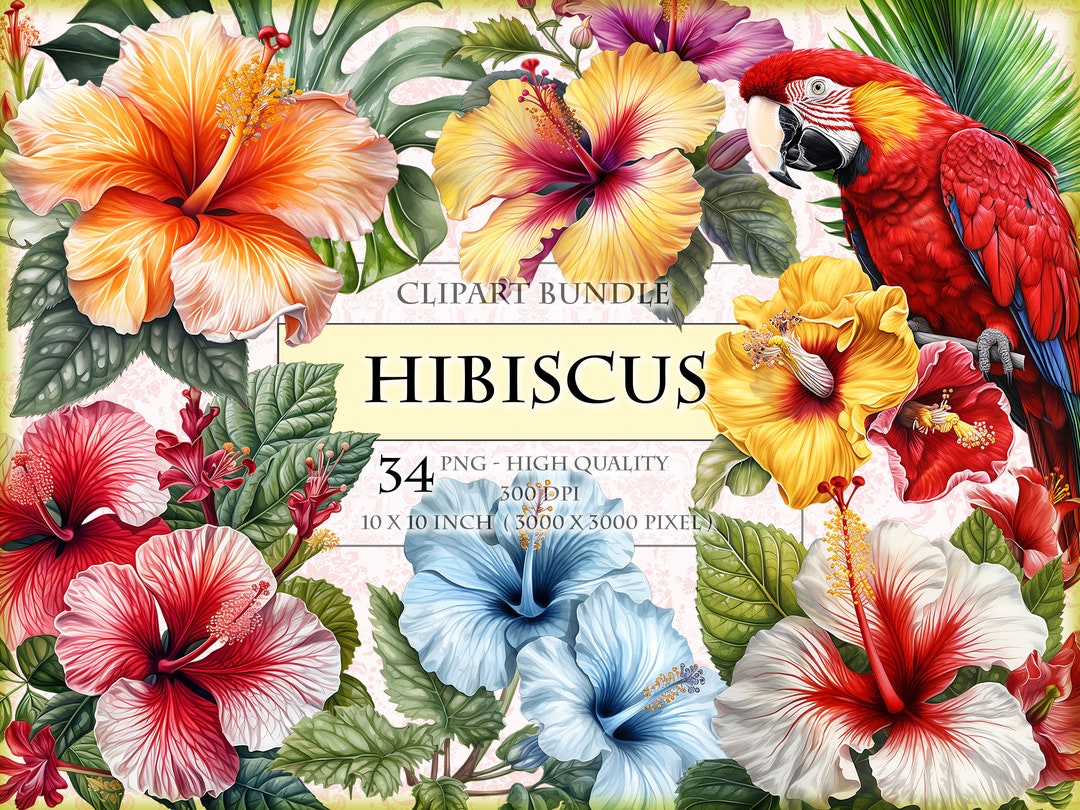 Hibiscus, Tropical Flowers, Watercolor Clipart Bundle, HQ Printable ...