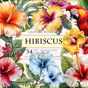 Hibiscus, Tropical Flowers, Watercolor Clipart Bundle, HQ Printable ...